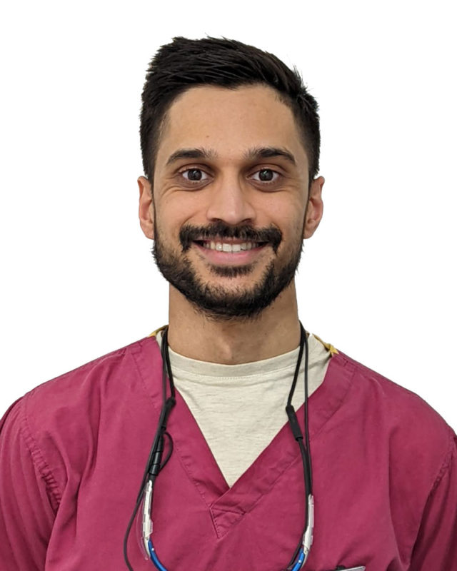 Meet the Team – Mclaren Dental Practice